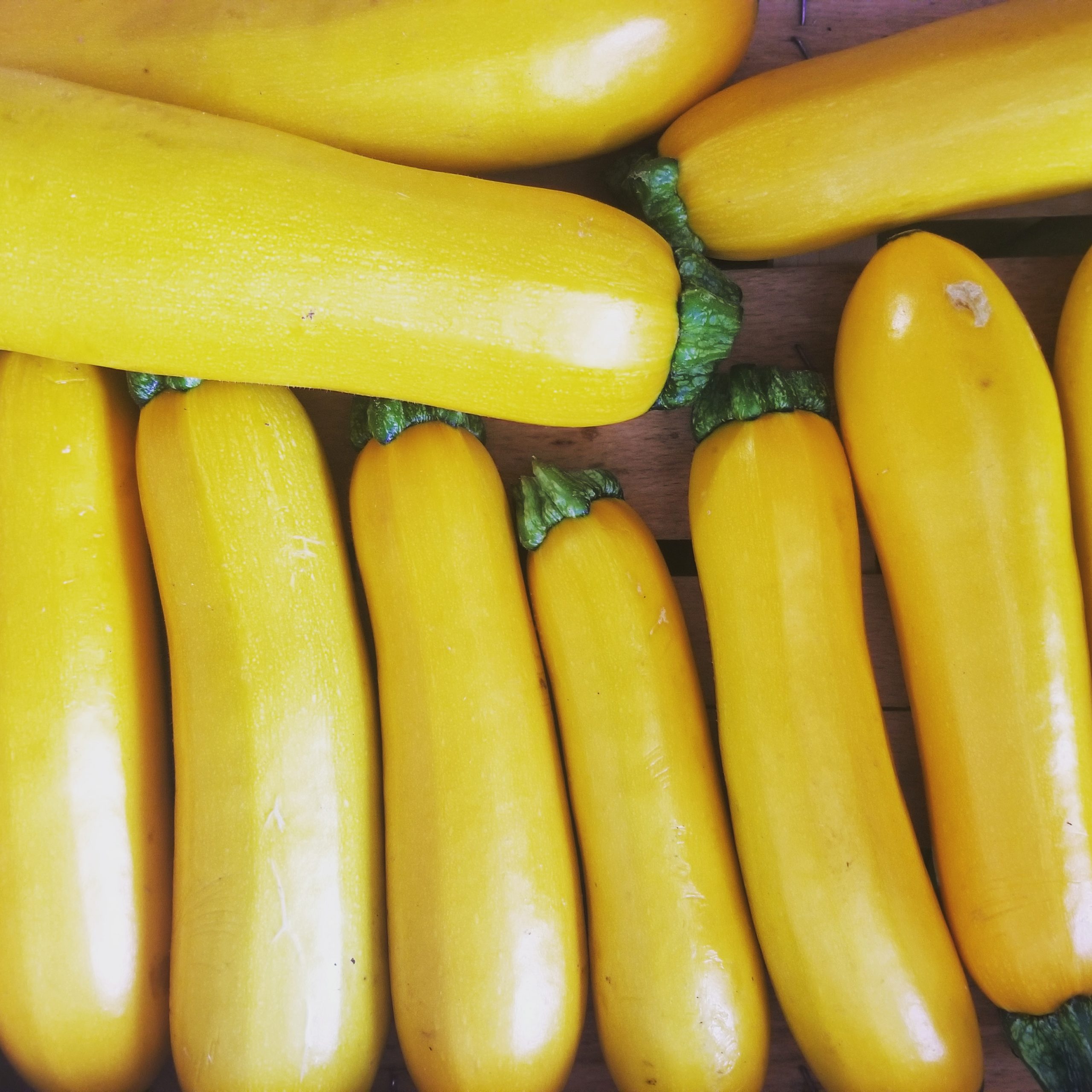 Salade de courgettes jaunes marinées - Panéolocal